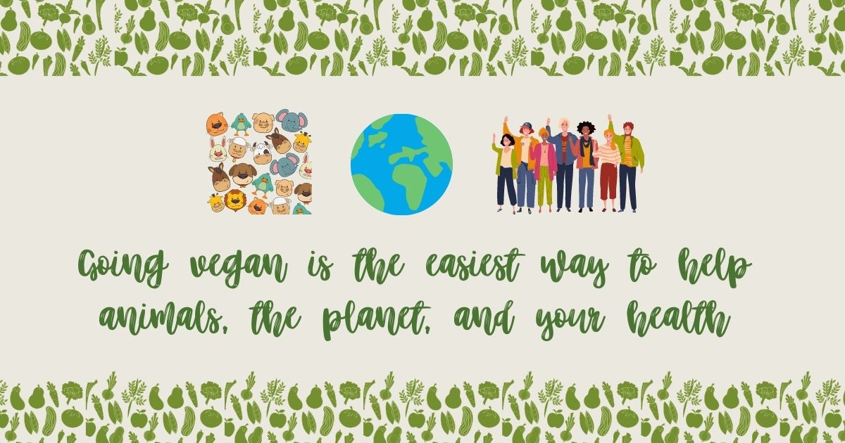 Why Going Vegan is The Best (& the Easiest) Way to Save Animals, the ...