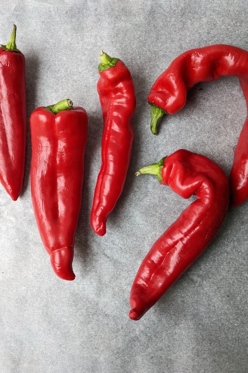 Mouth-watering and Super Easy Grilled Peppers - Greek Appetite
