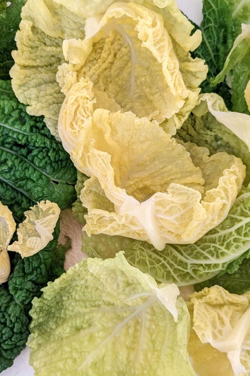 Stuffed Savoy Cabbage with Lemon Béchamel - Vegan & Gluten-Free - Greek ...